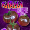 Tomato Seeds for Sale, Cherry Tomato Seeds - Heirloom and Heritage ...