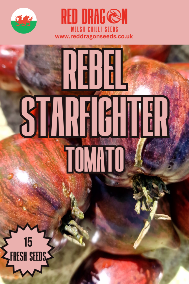 Rebel Starfighter Prime Tomato Seeds - Rebel Starfighter Prime Tomato ...