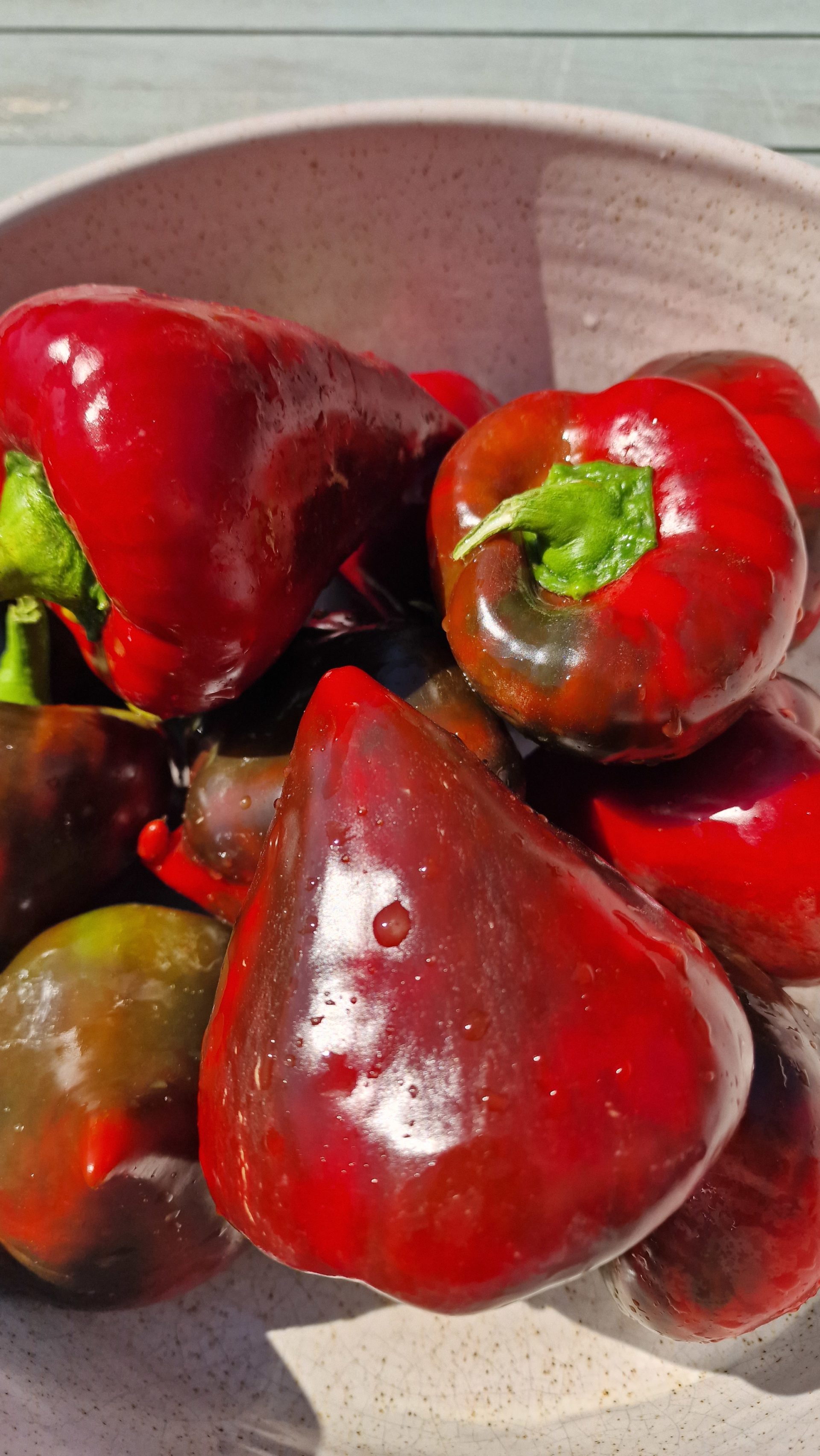 Lesya Sweet Pepper Seeds - Lesya Pepper Seeds - Red Dragon Seeds