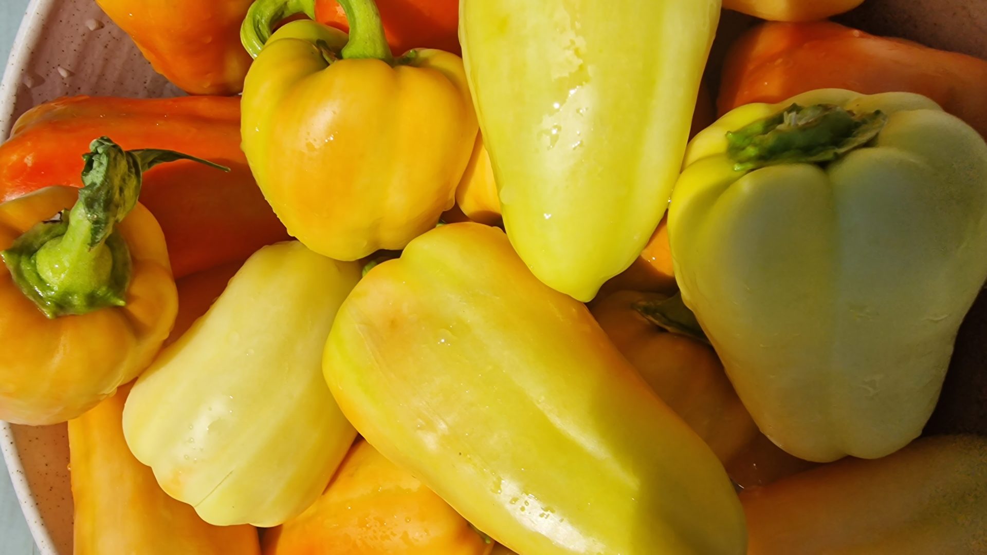 Amanda Sweet Pepper Seeds - Amanda Pepper Seeds - Red Dragon Seeds