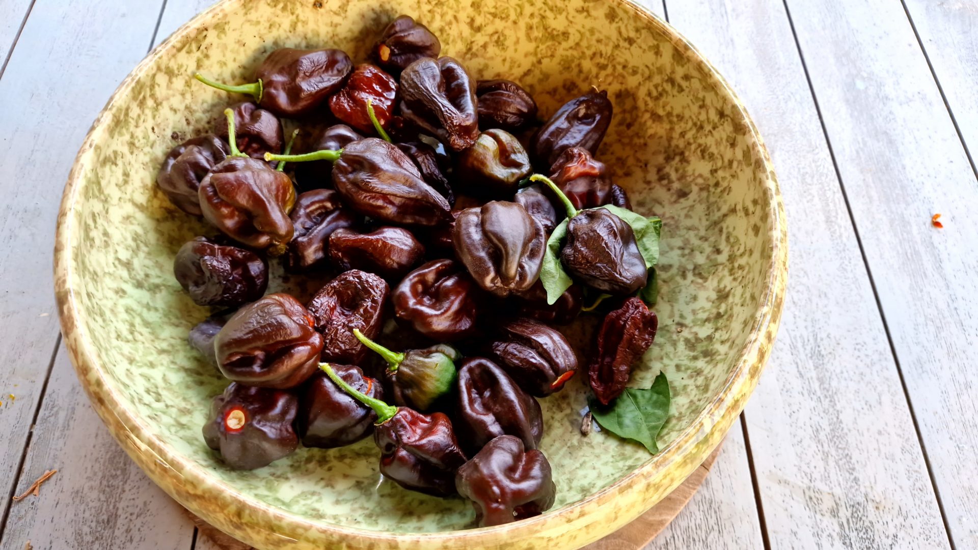 Swiss Chocolate Habanero Chilli Seeds - Swiss Chocolate Pepper Seeds