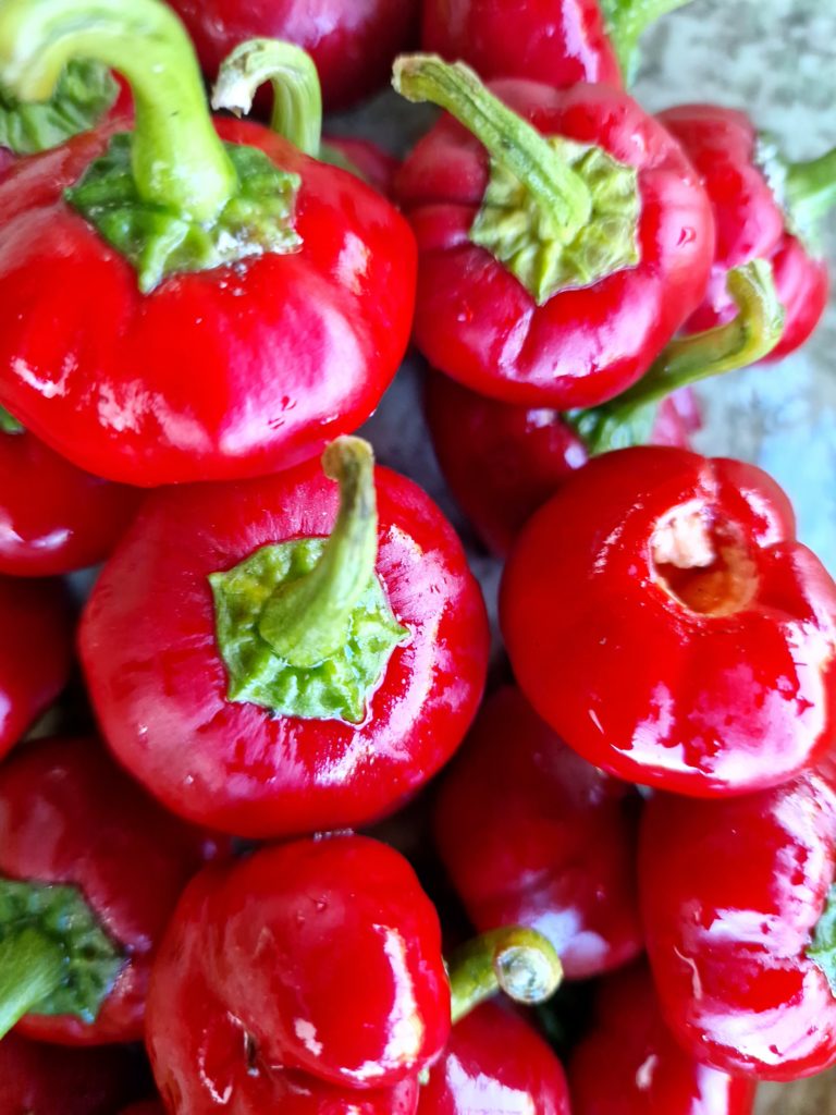 Bola Cascabel Chilli Seeds - Bola Cascabel Pepper Seeds