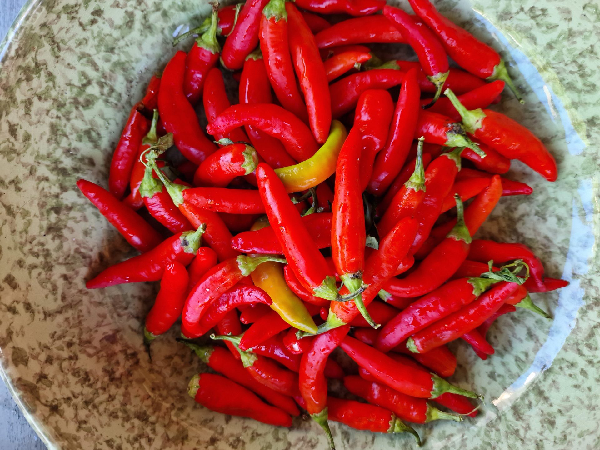 Hot Fajita Chilli Seeds - Hot Fajita Pepper Seeds