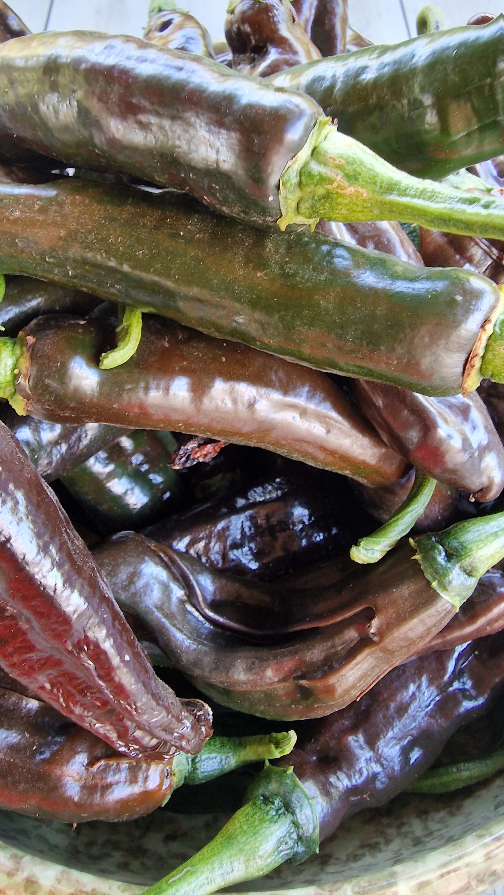 Pasilla Bajio Chilaca Chilli Seeds - Chilaca Pepper Seeds