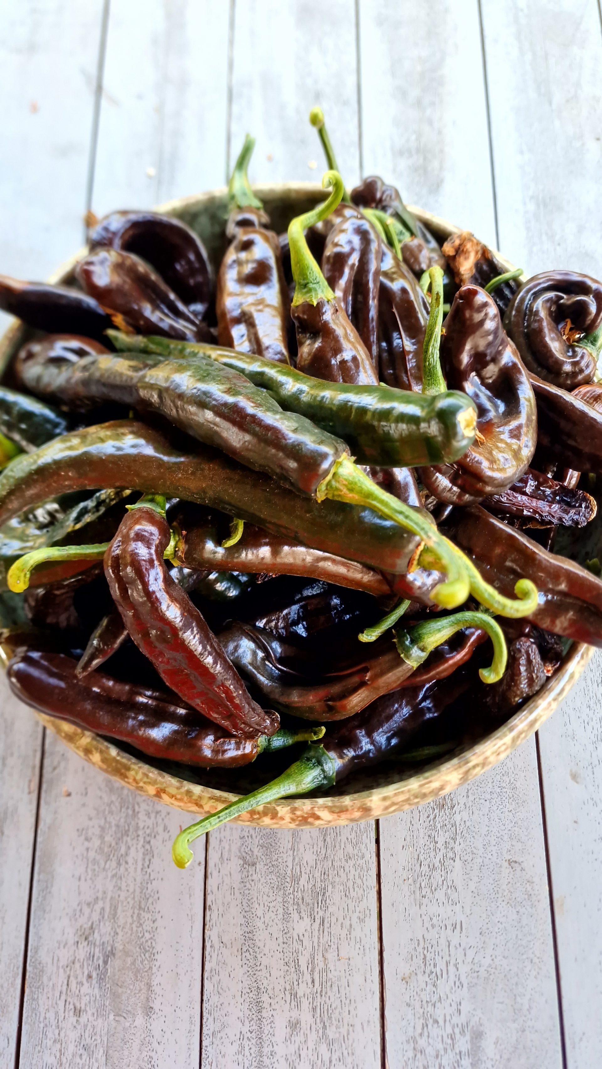 Pasilla Bajio Chilaca Chilli Seeds - Chilaca Pepper Seeds