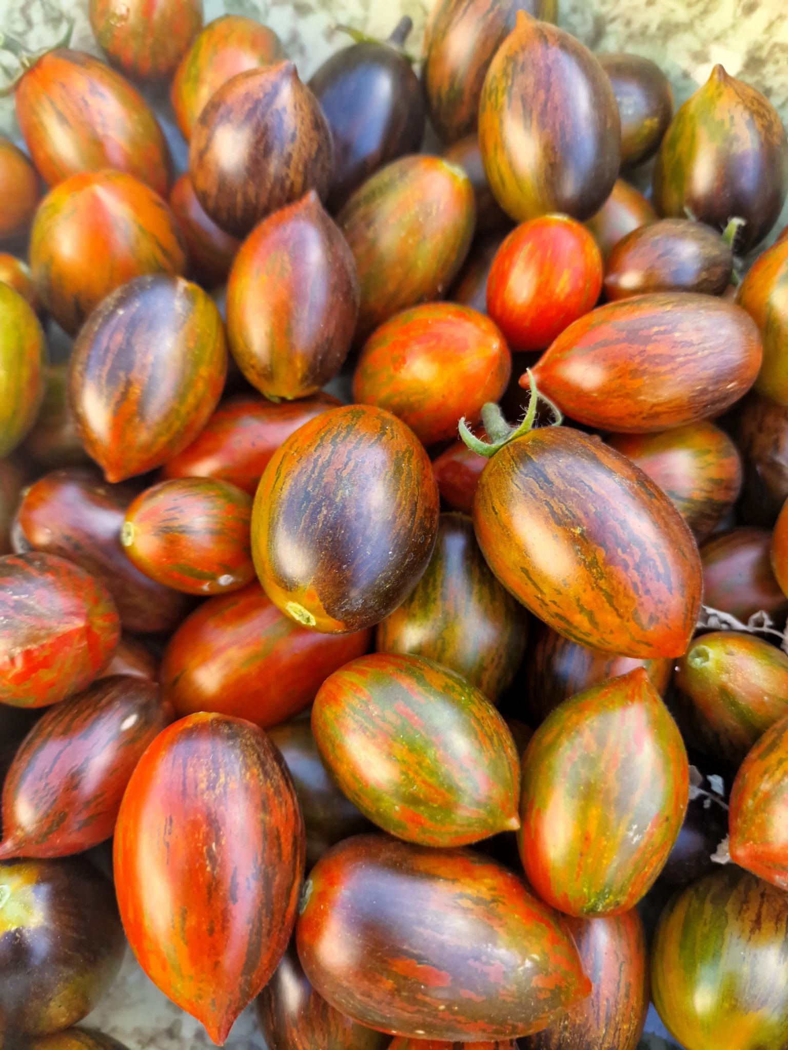 Brad's Atomic Grape Tomato Seeds - Brads Atomic Cherry Tomato - Red ...
