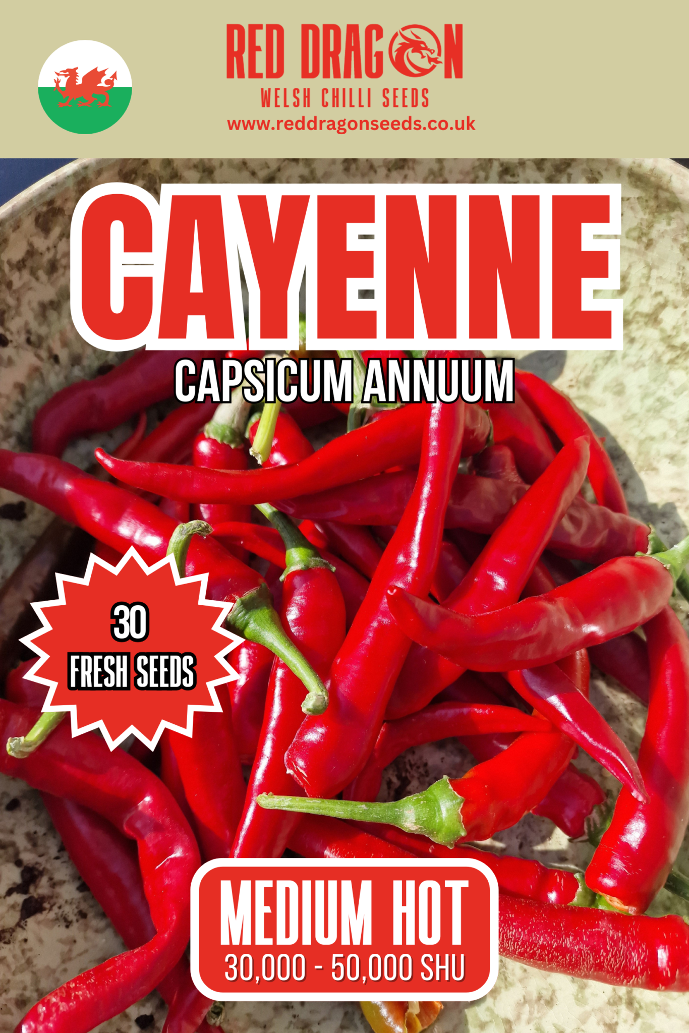 Cayenne Chilli Seeds - Red Cayenne Pepper Seeds - Red Dragon
