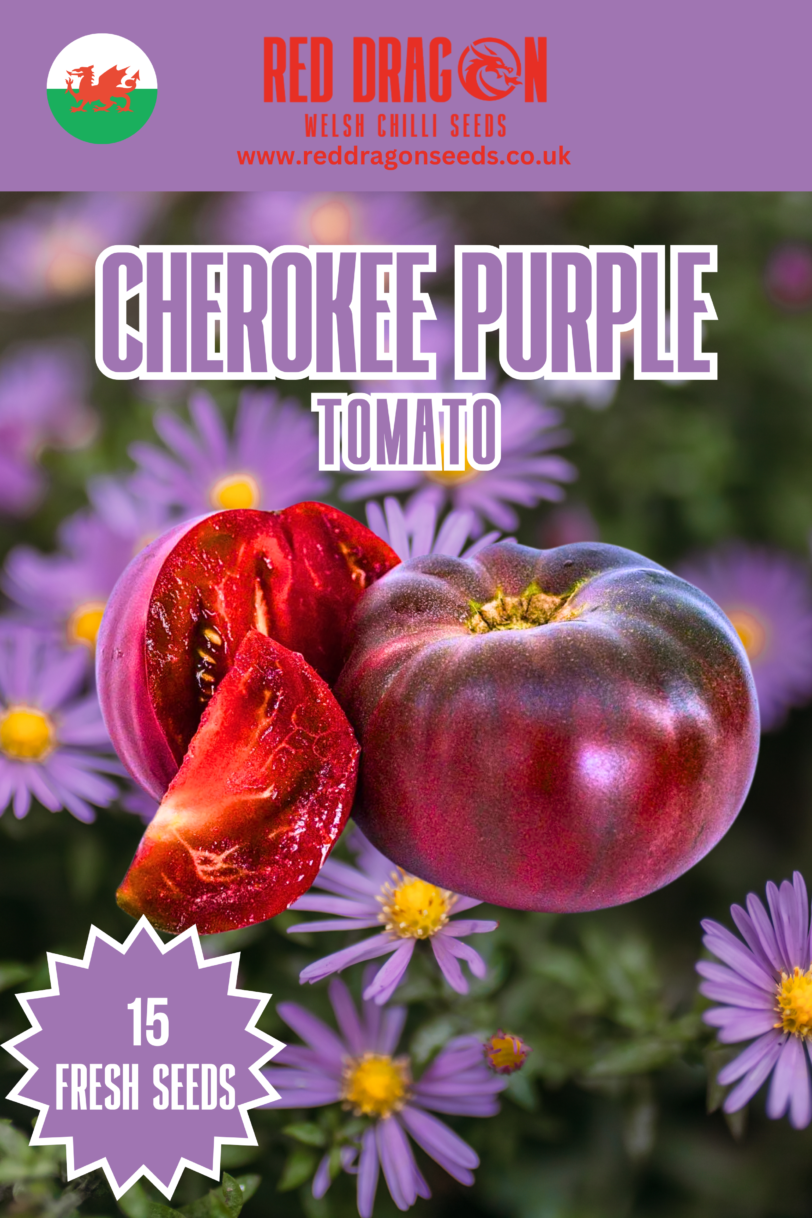 Cherokee Purple Tomato Seeds - Cherokee Purple Tomato - Red Dragon Seeds