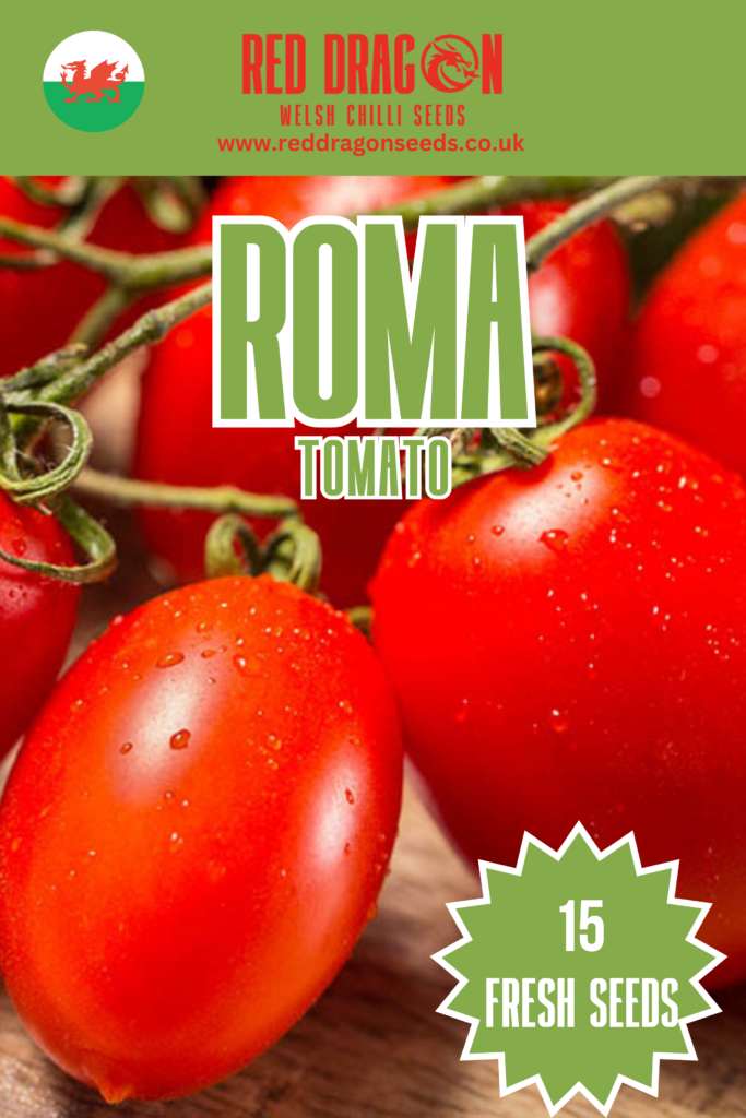 Window Box Roma Tomato Seeds - Red Dragon Seeds