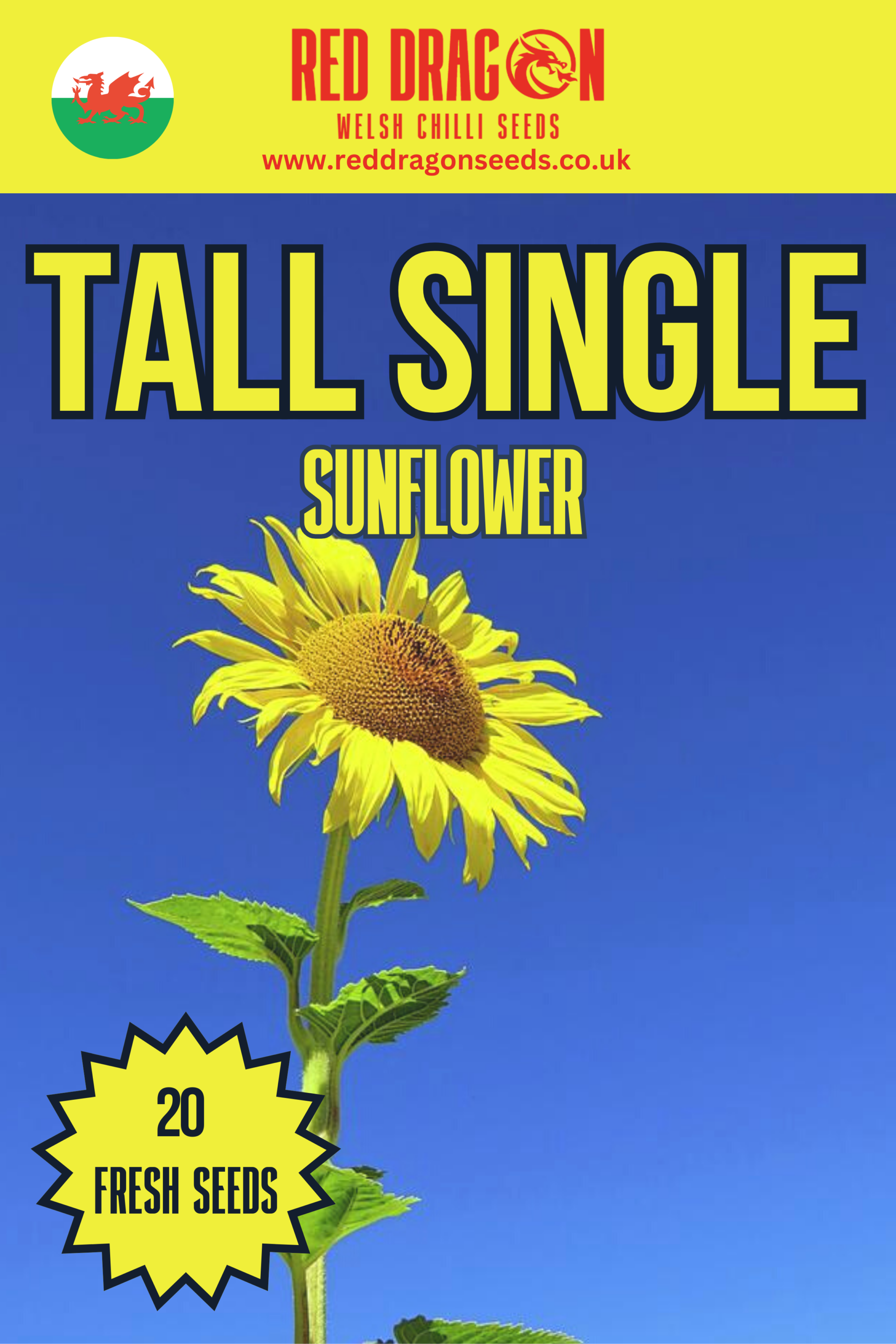 Tall Single Sunflower Seeds - Tall Single Sunflower Seeds - Red Dragon ...