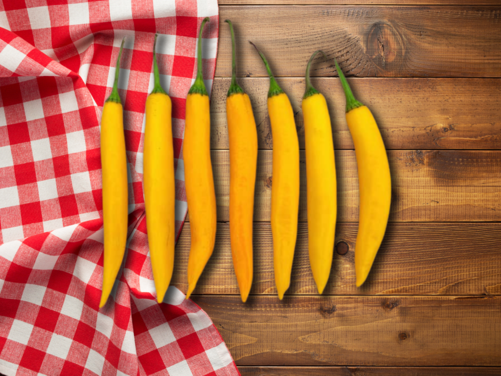 Golden Cayenne Chilli Seeds - Gold Orange Pepper Seeds - Red Dragon