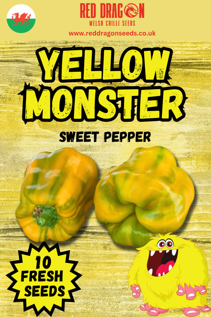 Yellow Monster Sweet Pepper Seeds - Yellow Monster Pepper Seeds - Red Dragon Seeds