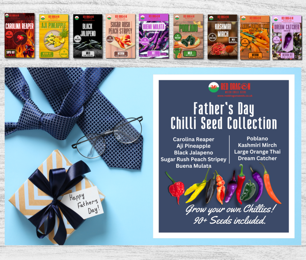 Father's Day Chilli Seed Gift Set - Father’s Day Gifts - Red Dragon Seeds