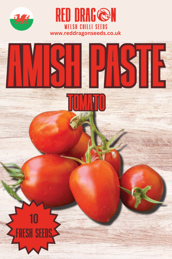 Amish Paste Tomato Seeds - 10 Fresh Amish Paste Tomato Seeds - Red ...
