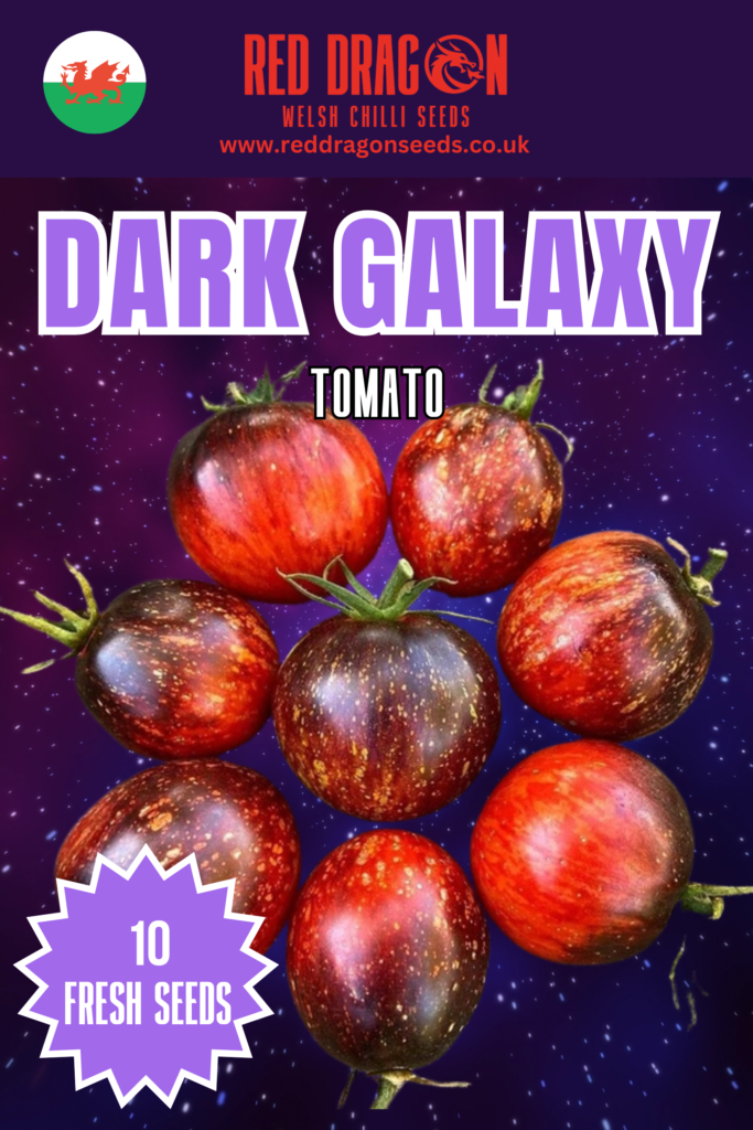 Dark Galaxy Tomato Seeds - 10 Fresh Dark Galaxy Tomato Seeds - Red ...