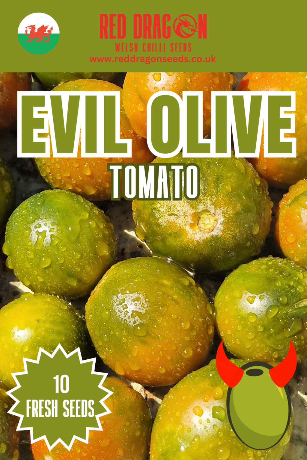 Evil Olive Tomato Seeds - 10 Fresh Evil Olive Tomato Seeds - Red Dragon ...