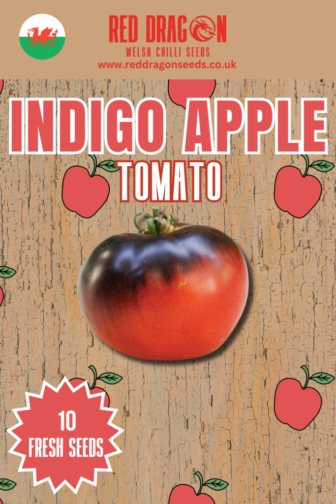 Indigo Apple Tomato Seeds - 10 Fresh Indigo Apple Tomato Seeds - Red ...