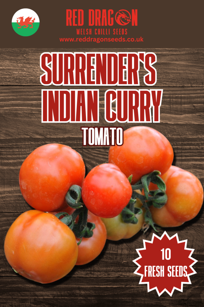 Surrender's Curry Tomato Seeds - 10 Fresh Surrenders Curry Tomato Seeds ...