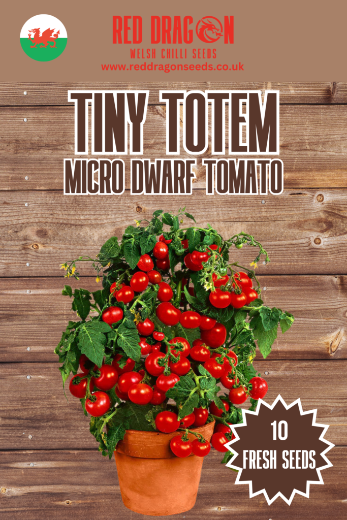 Tiny Totem Micro Dwarf Tomato Seeds - 10 Fresh Tiny Totem Micro Dwarf ...