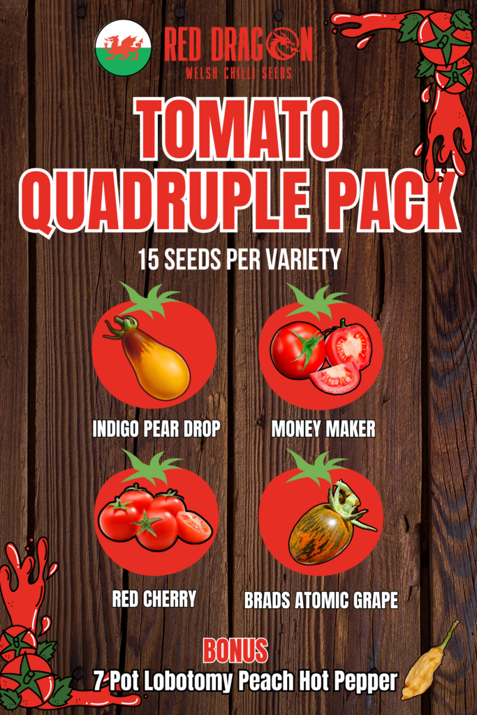 Tomato Quadruple Pack - Red Dragon Seeds