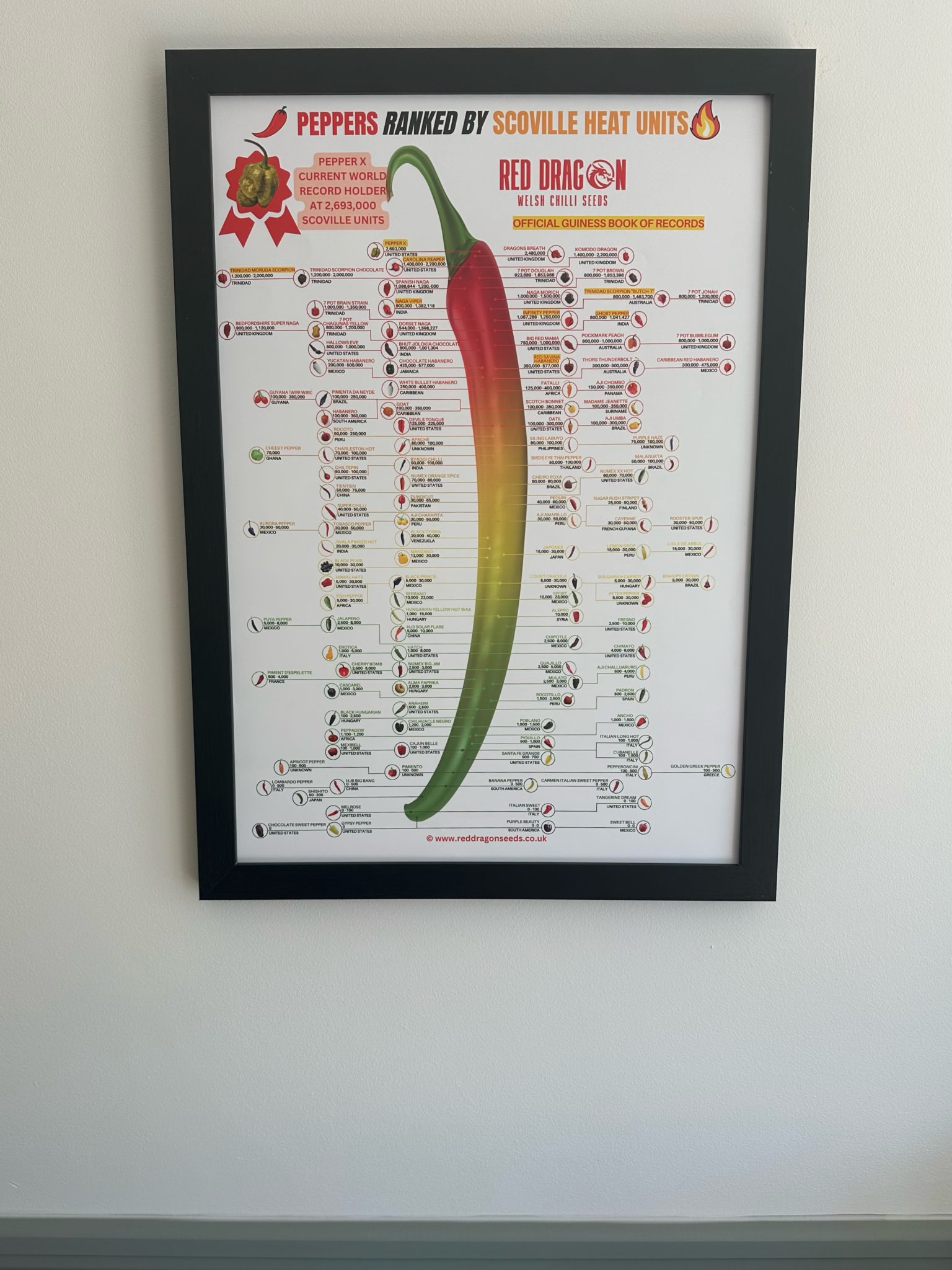 Scoville Chart Poster - A2 Laminated Scoville Chart with over 120 ...