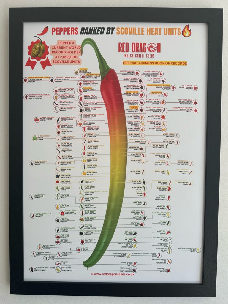 Scoville Chart Poster - A2 Laminated Scoville Chart with over 120 ...