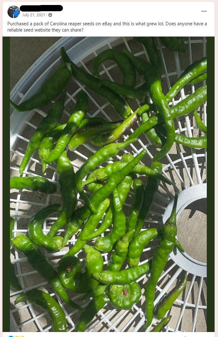 Fake Carolina Reaper Seeds on Ebay - Beware of Fake Seeds from Past ...