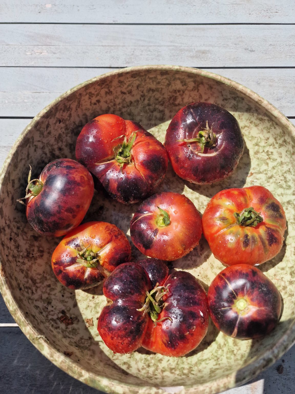 Siberian Pink Tiger Tomato Seeds - 10 Fresh Siberian Tiger Tomato Seeds ...