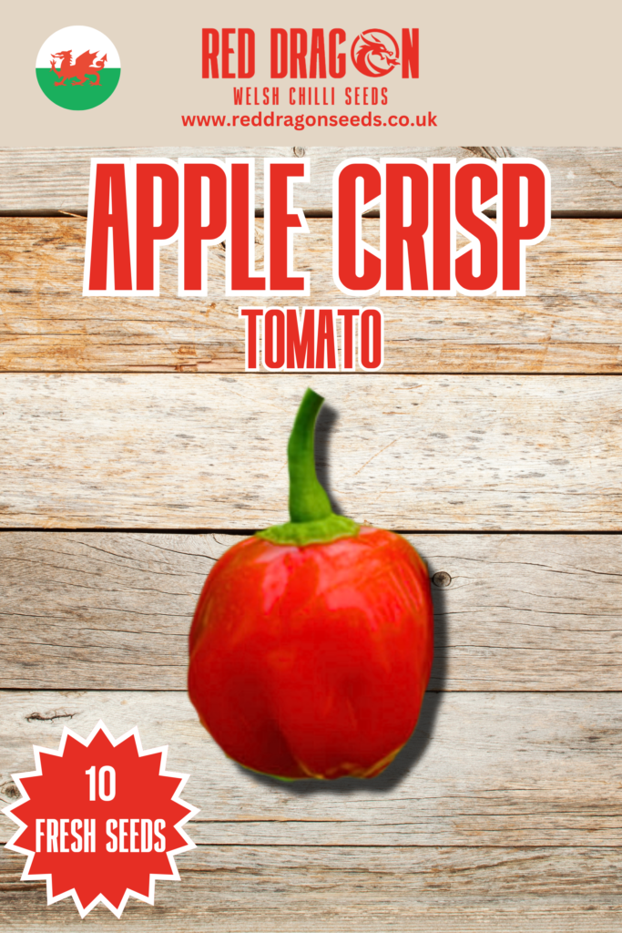Apple Crisp Chilli Seeds - Apple Crisp Pepper Seeds - Red Dragon Seeds