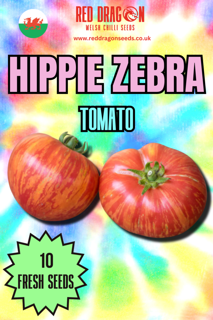 Hippie Zebra Tomato Tomato Seeds - 10 Fresh Hippie Zebra Tomato Tomato ...