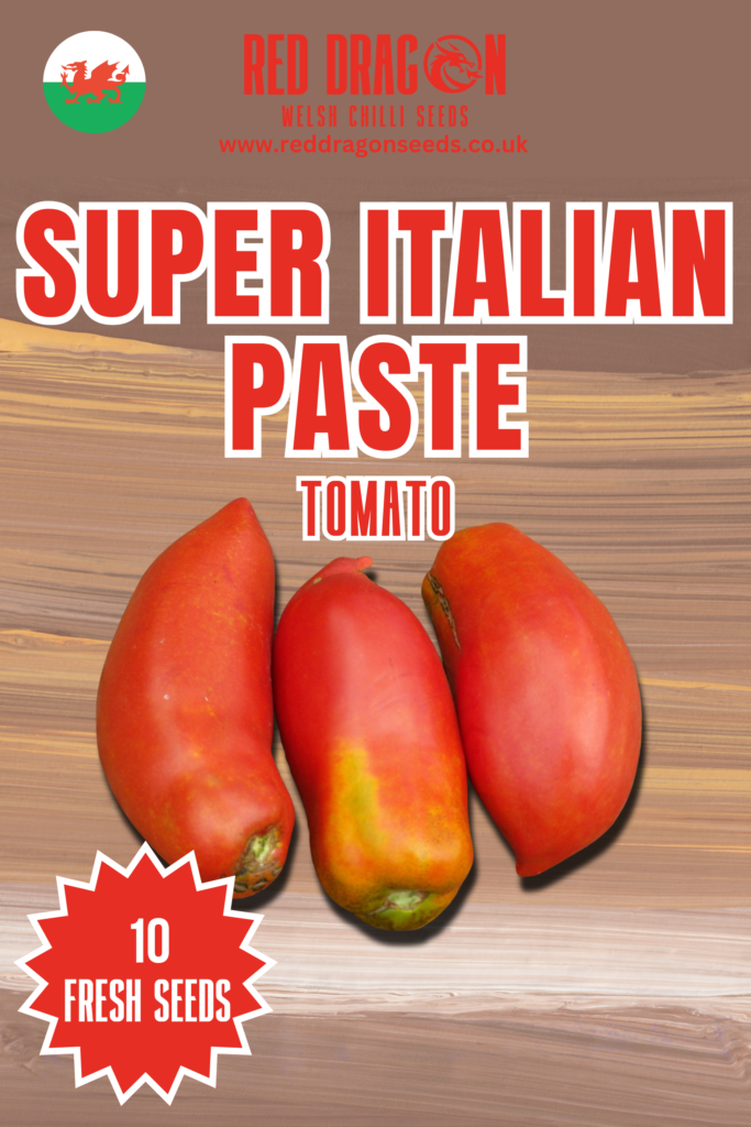 Super Italian Paste Tomato Seeds - 10 Fresh Super Italian Paste Tomato ...