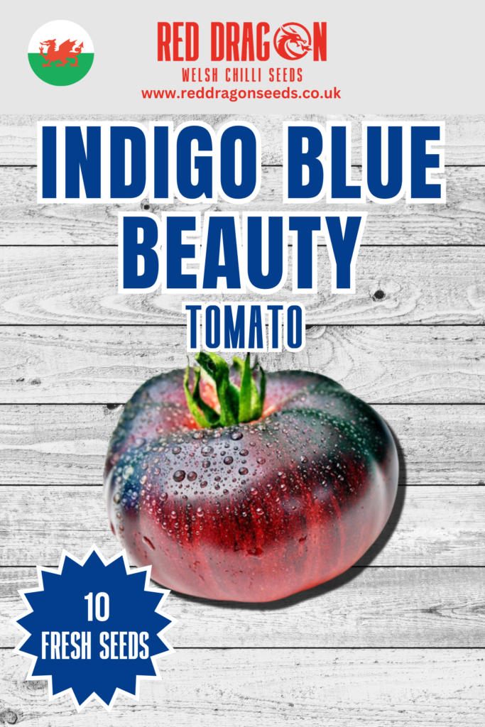 Indigo Blue Beauty Tomato Seeds - Indigo Blue Beauty Tomato - Red ...