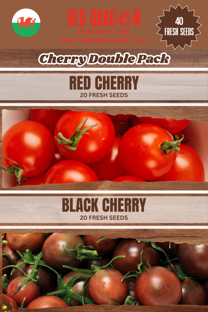 Cherry Tomato Pack Double Pack Tomato Seeds - Cherry Tomato Pack Double ...