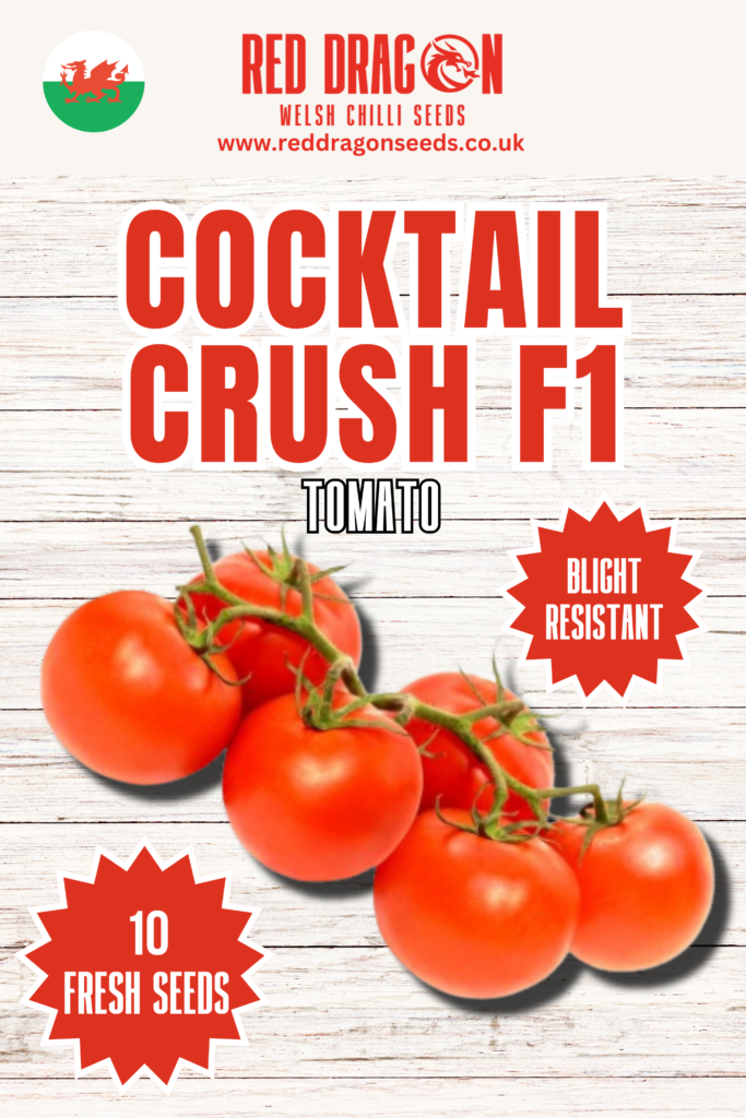Cocktail F1 Crush Tomato Seeds - Cocktail F1 Crush Tomato Seeds - Red ...