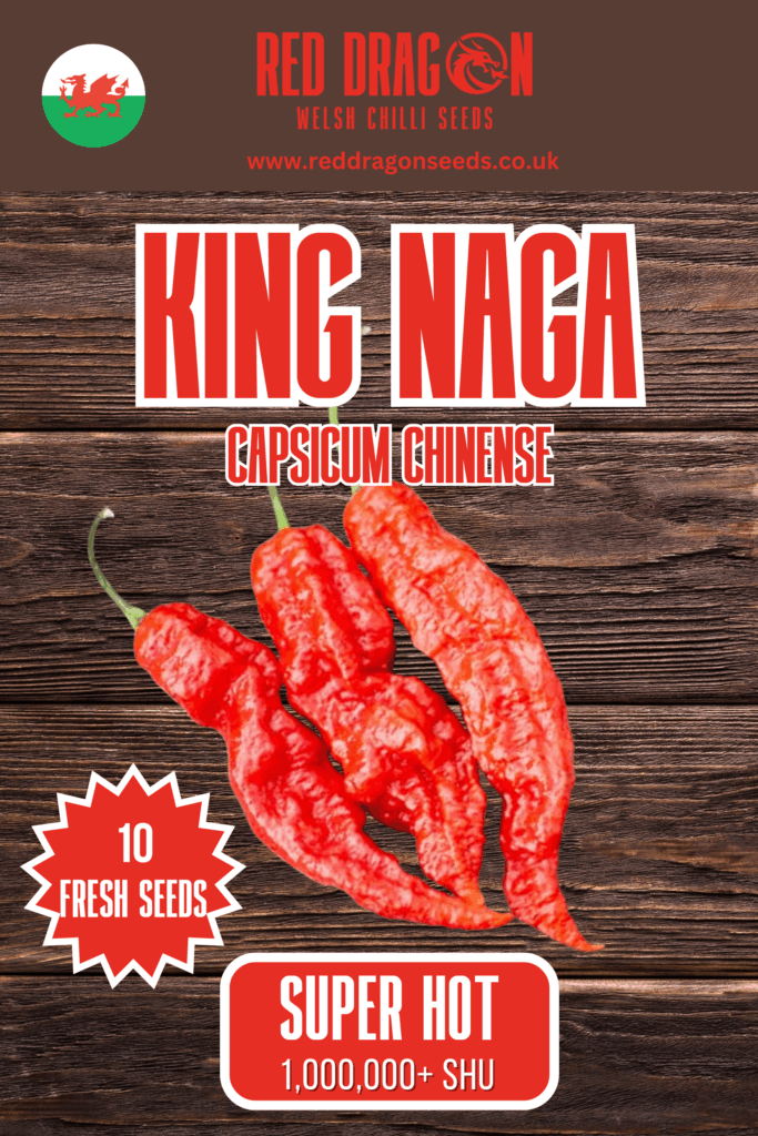 King Naga Chilli Seeds - King Naga Pepper Seeds - Red Dragon Seeds
