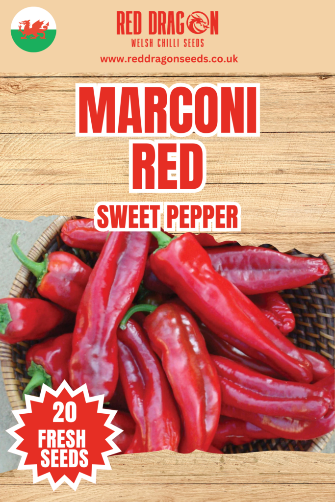 Marconi Red Sweet Pepper Seeds - Marconi Red Sweet Pepper Seeds - Red ...