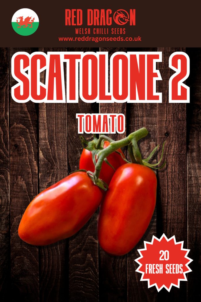 Scatolone 2 Plum Tomato Seeds - Scatolone 2 Plum Tomato Seeds - Red ...