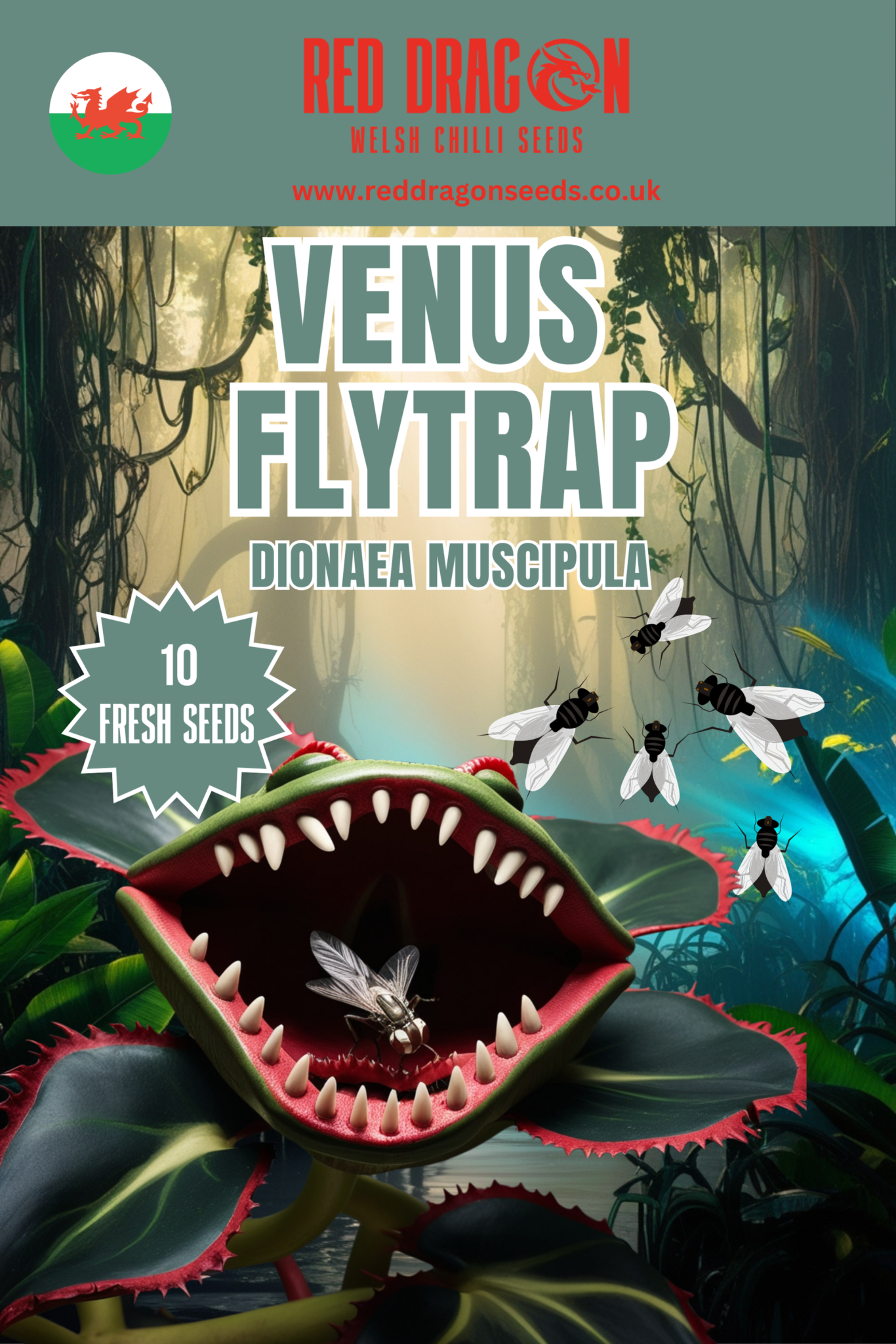 Venus Fly Trap Seeds - Dionaea Muscipula Seeds - Red Dragon Seeds
