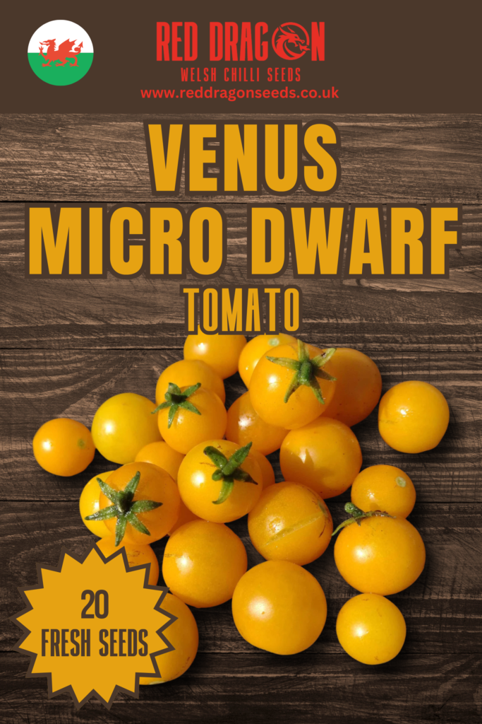 Venus Micro Dwarf Tomato Seeds - Venus Micro Dwarf Tomato Seeds - Red ...