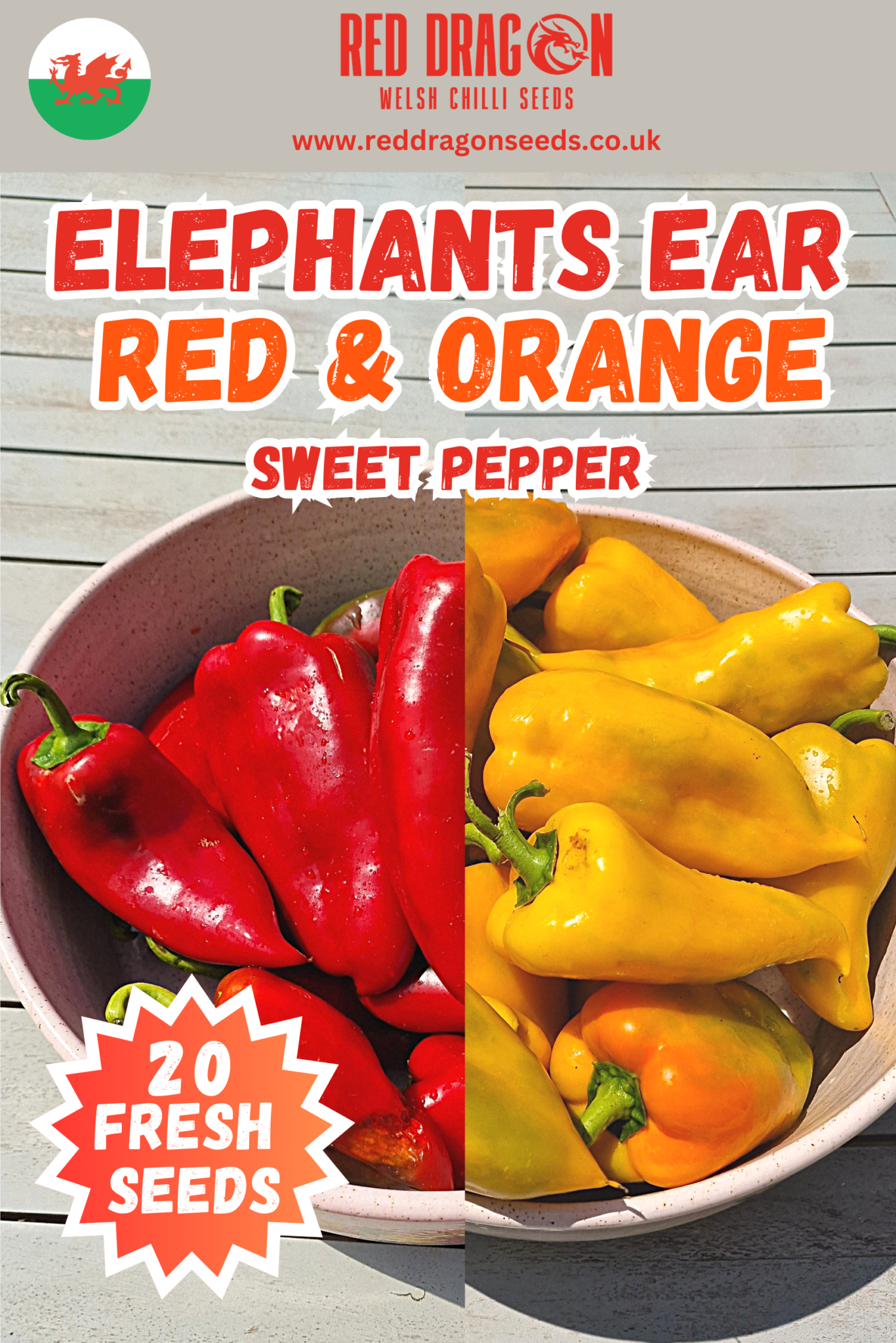 Elephants Ear Red & Orange Sweet Pepper Seeds - Slonovo Sweet Pepper ...