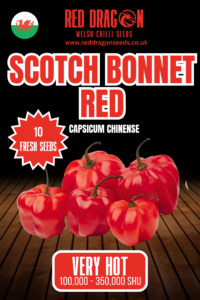 Scotch Bonnet Red Chilli Seeds - Scotch Bonnet Pepper Seeds - Red ...