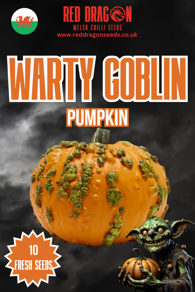 Warty Goblin Pumpkin Seeds - Red Dragon Seeds