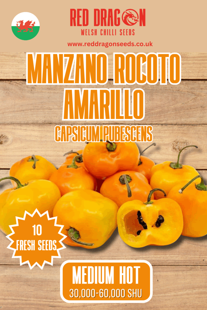 Manzano Rocoto Amarillo Chilli Seeds - Manzano Yellow Pepper Seeds ...