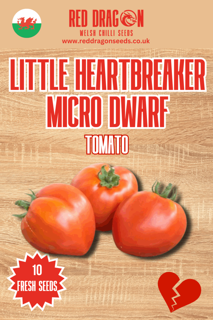 Little Heartbreaker Micro Dwarf Tomato Seeds - 10 Fresh Seeds - Red ...