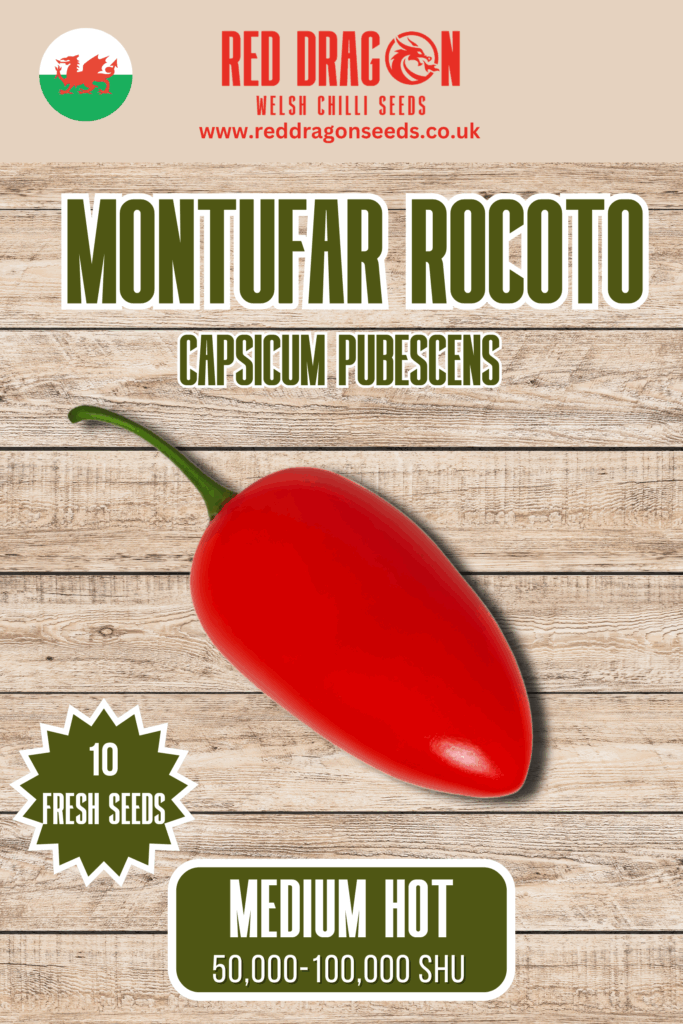 Montufar Rocoto Chilli Seeds - 10 Fresh Seeds - Red Dragon Seeds