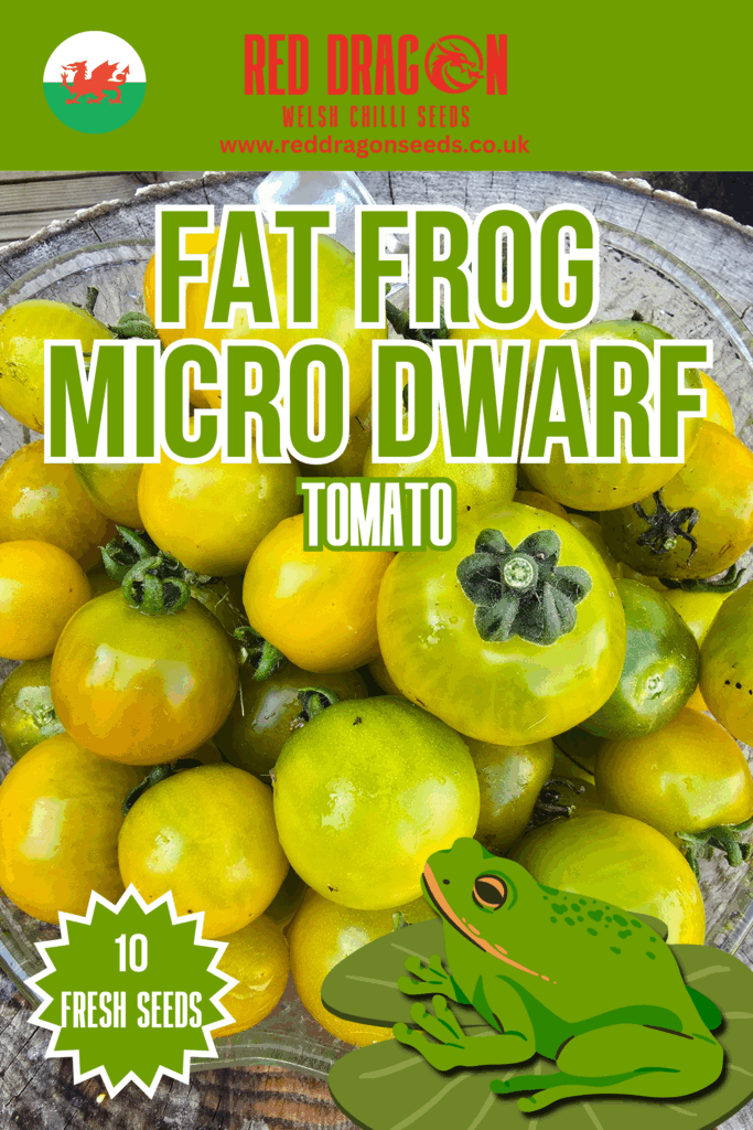 Fat Frog Micro Dwarf Tomato Seeds - 10 Fresh Seeds - Red Dragon Seeds