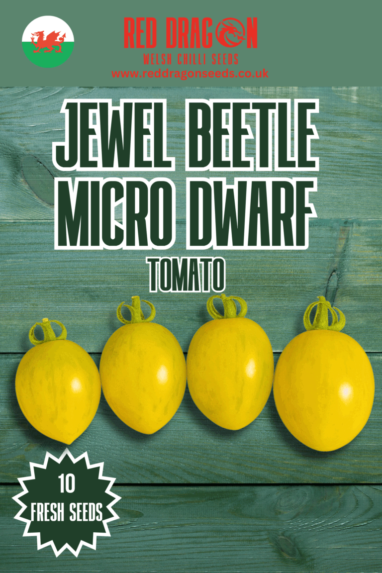 Jewel Beetle Micro Dwarf Tomato Seeds - 10 Fresh Seeds - Red Dragon Seeds