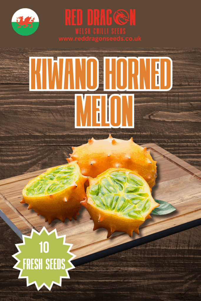 Kiwano Horned Melon Seeds - 10 Fresh Kiwano Horned Melon Seeds - Red ...