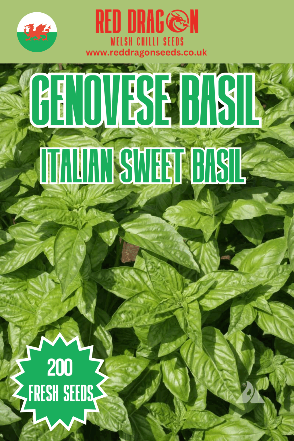 Genovese Basil Seeds - Classic Italian basil for pesto, salads and ...