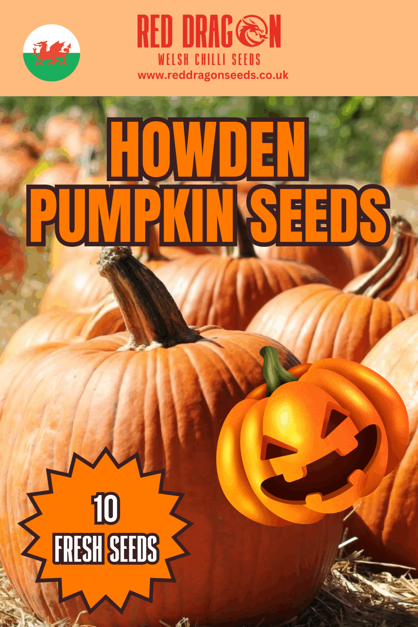Howden Pumpkin Seeds - Classic carving pumpkins for Halloween and ...